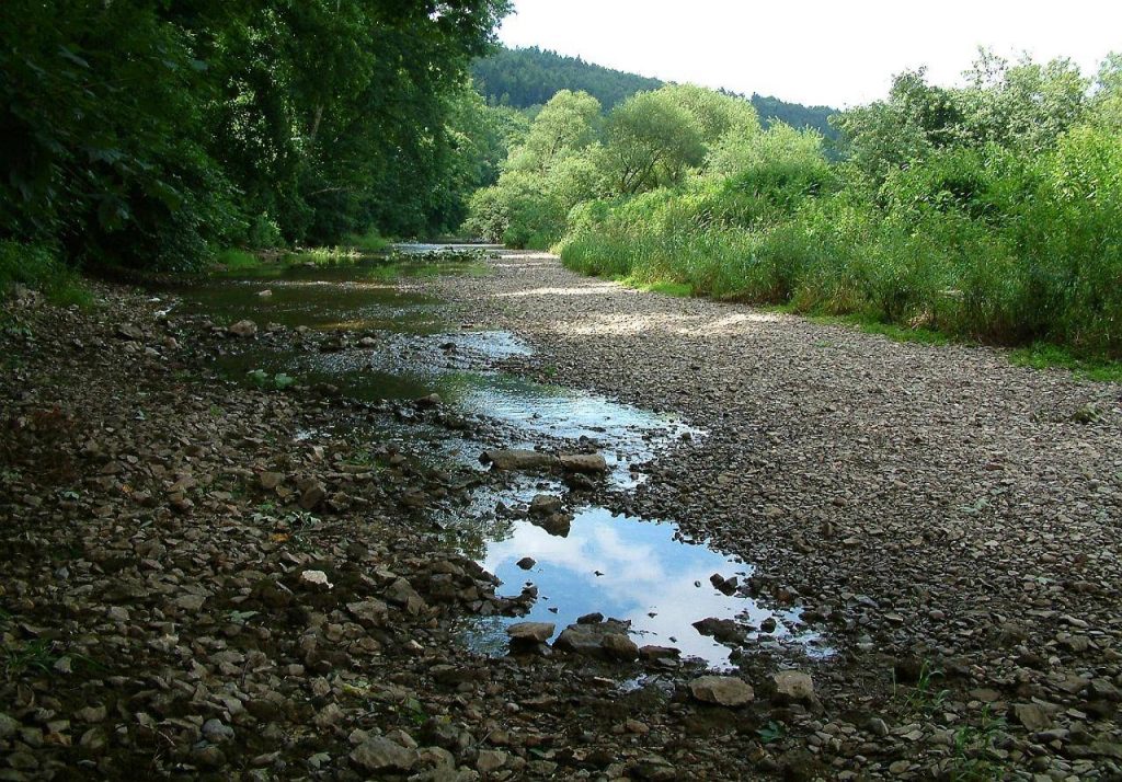 Donauversickerung - Schwarzwaldverein St. Georgen e.V.